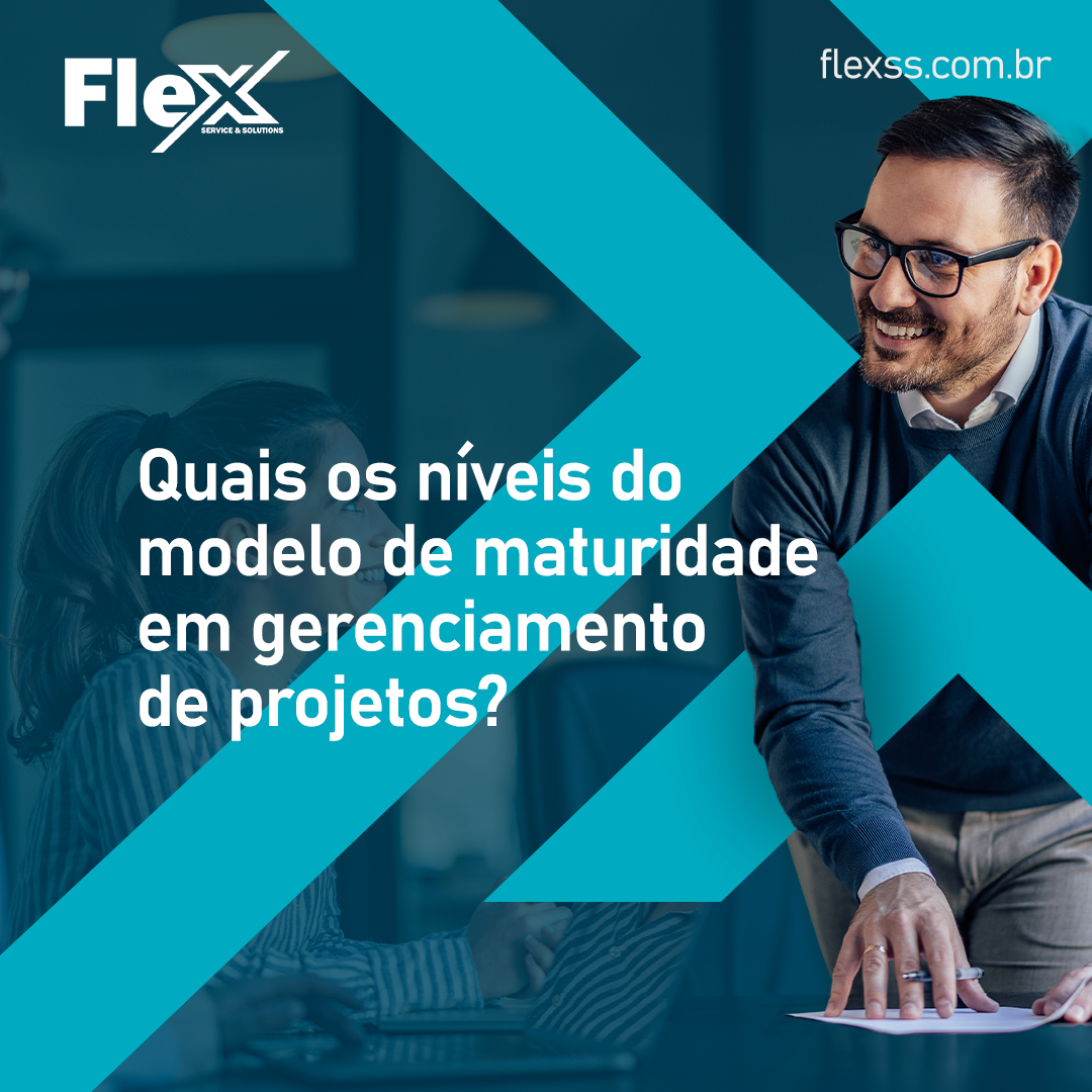 Quais os níveis do modelo de maturidade em gerenciamento de projetos? – Flex Service Solutions